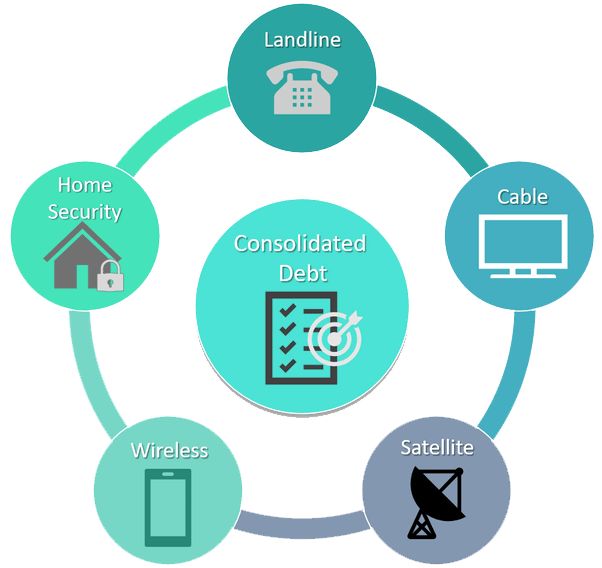 Build a Debtors' Self-Pay Portal to Reduce Bad Telecom Debt