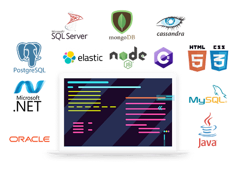 Modify your Beesion Software - Beesion